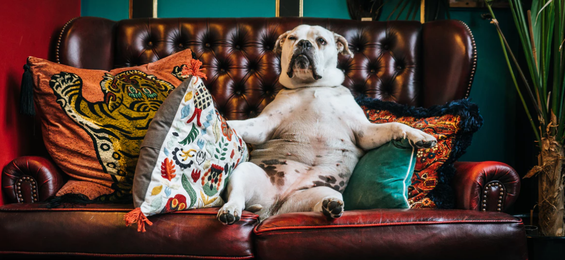 The Best Ways To Move A Couch By Yourself Without Breaking Your Back